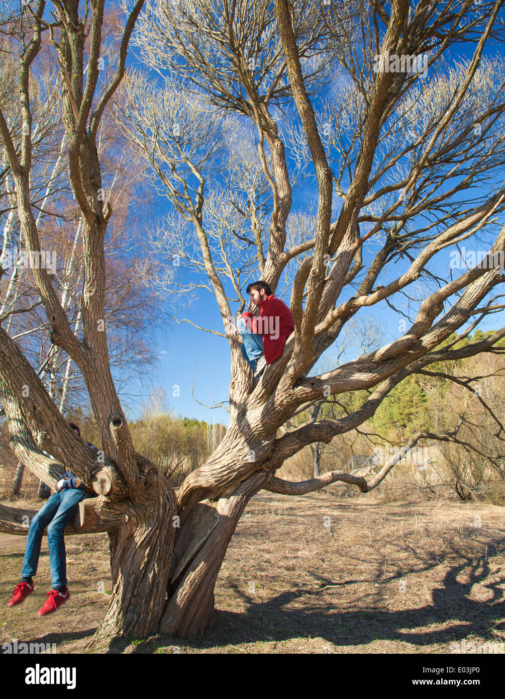 two teens climbing a tree Stock Photo - Alamy