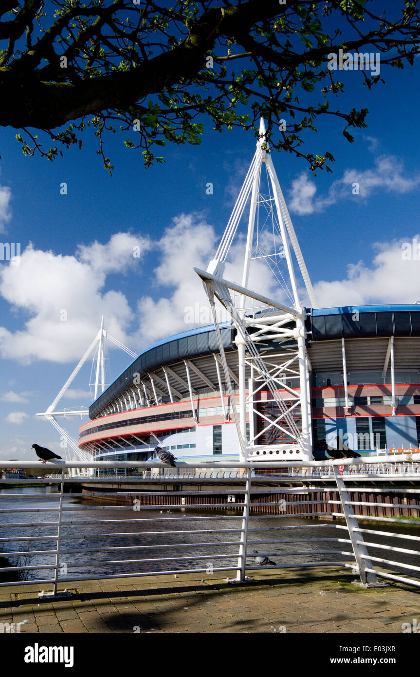 Cardiff rugby hi-res stock photography and images - Alamy