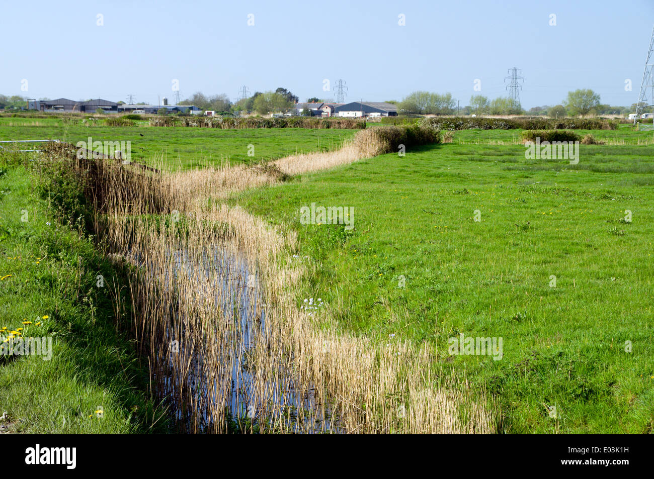 Gwent Levels between Cardiff and Newport, South Wales, UK Stock Photo ...