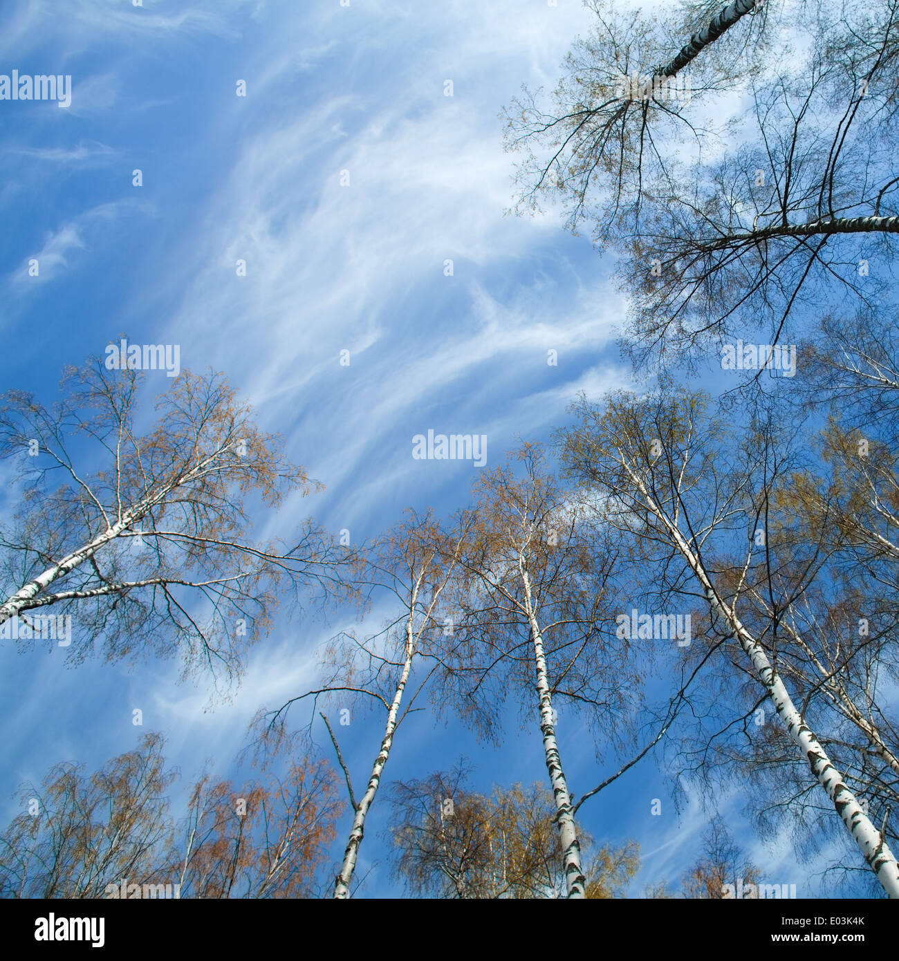 Upwards shot hi-res stock photography and images - Alamy