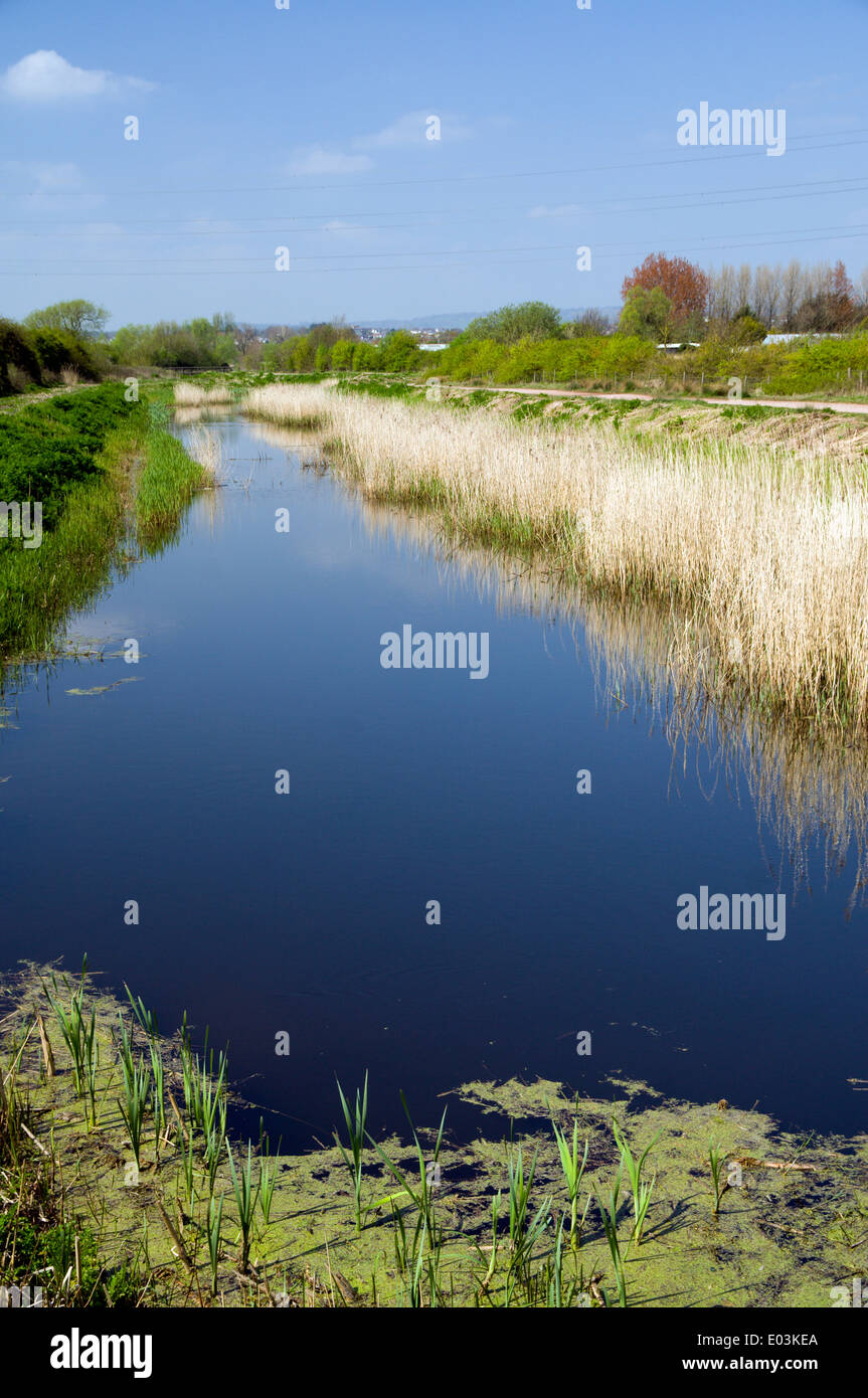 Lamby lake hi-res stock photography and images - Alamy