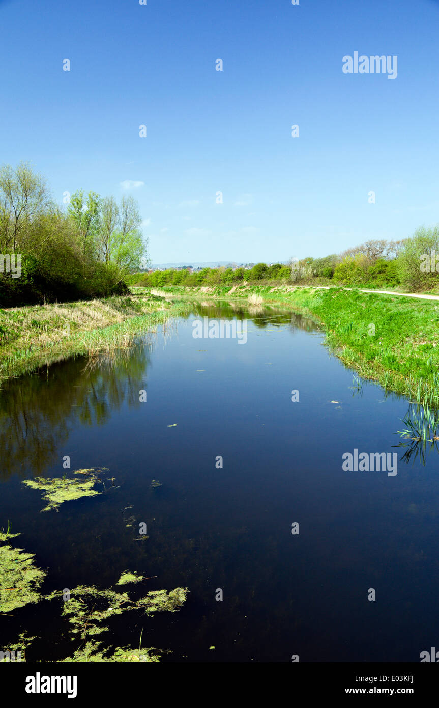 Lamby lake hi-res stock photography and images - Alamy