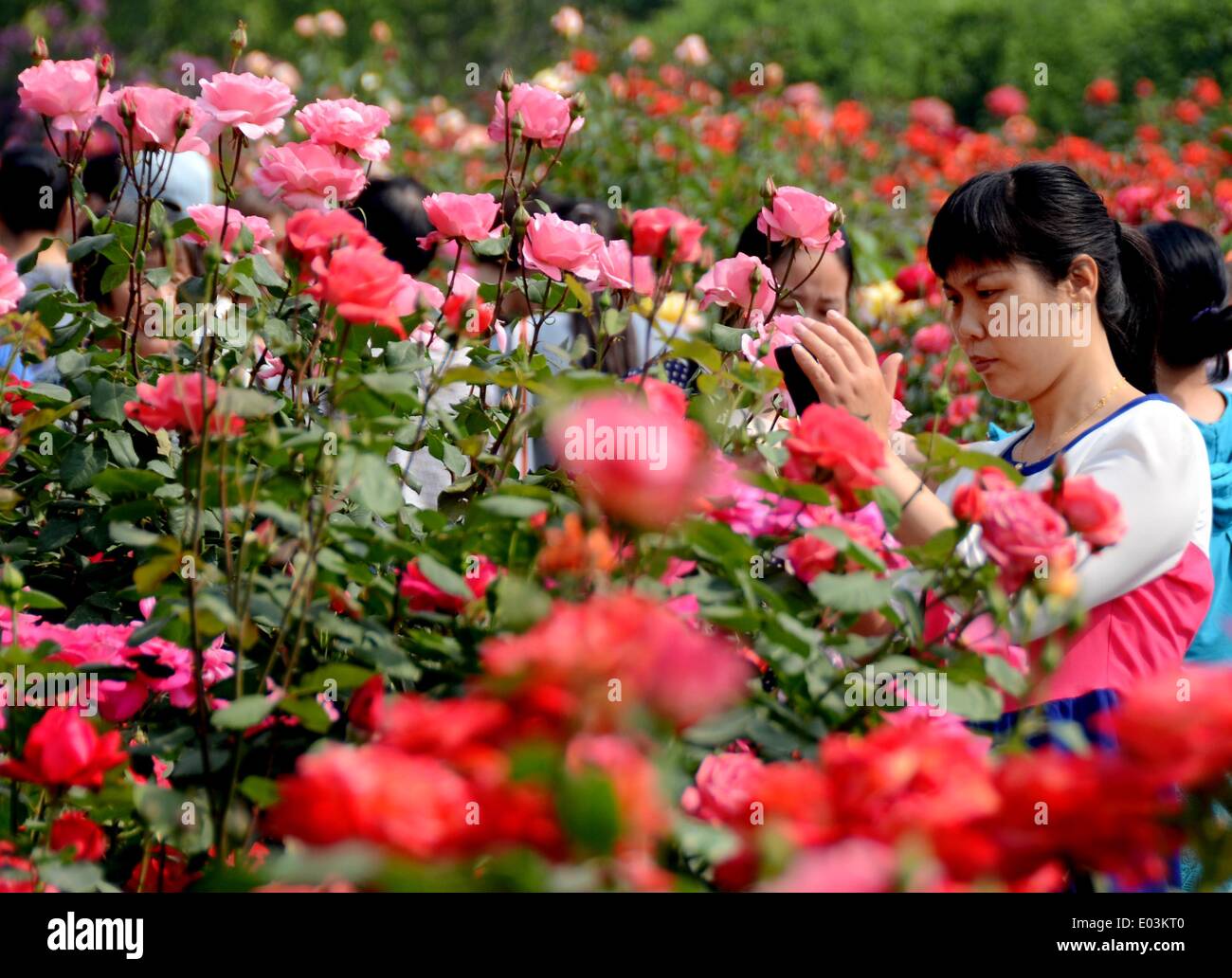 Yueji park hi-res stock photography and images - Alamy