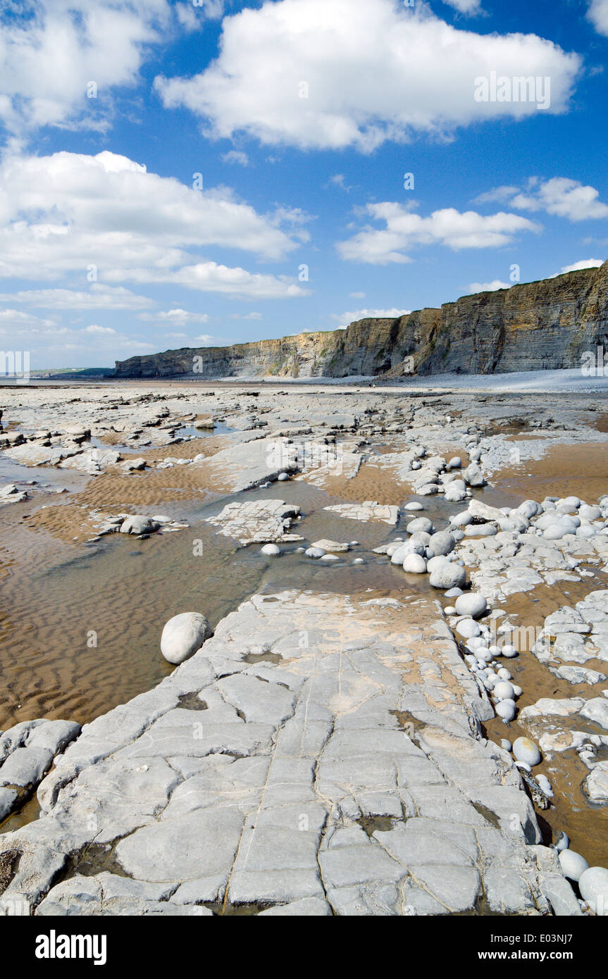 Lias Limestone Cliffs, Cwm Nash, Glamorgan Heritage Coast, Vale of ...