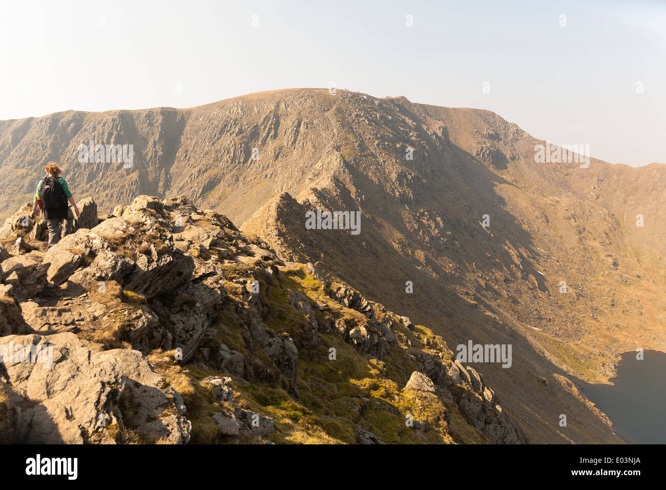Walking along Striding Edge, Helvellyn, Lake District Stock Photo - Alamy