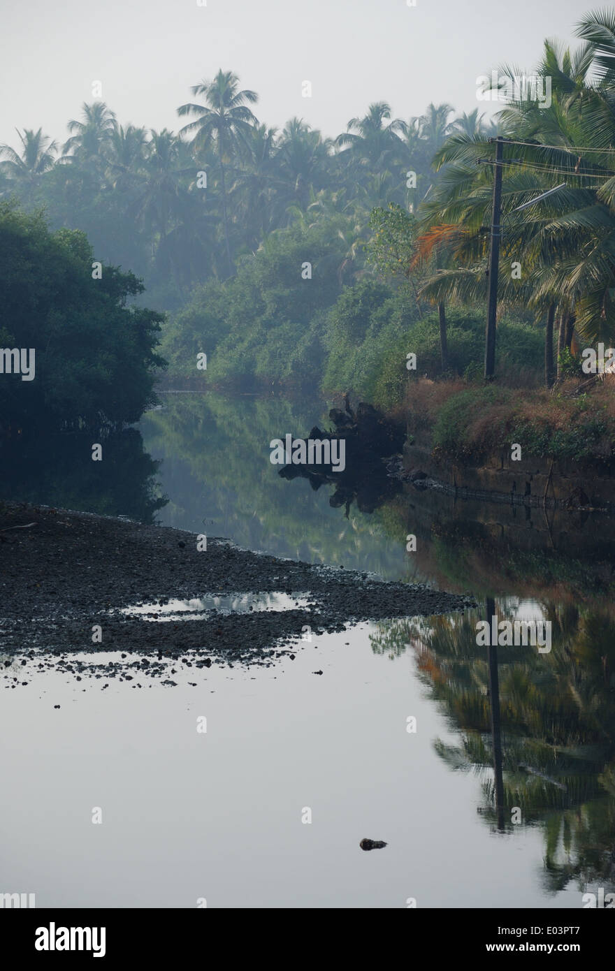 Mandrem hi-res stock photography and images - Alamy