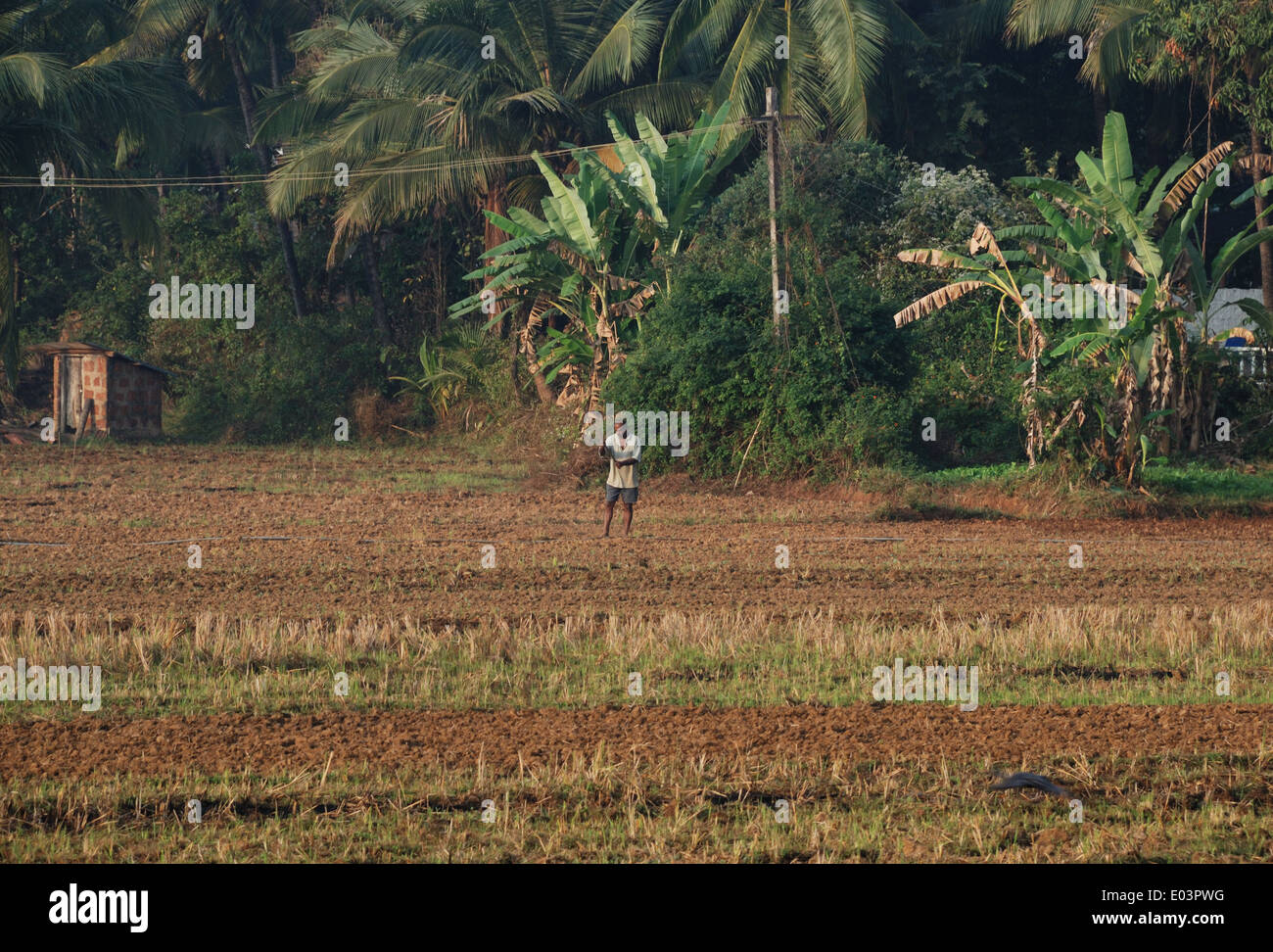 Indian peasant hi-res stock photography and images - Alamy