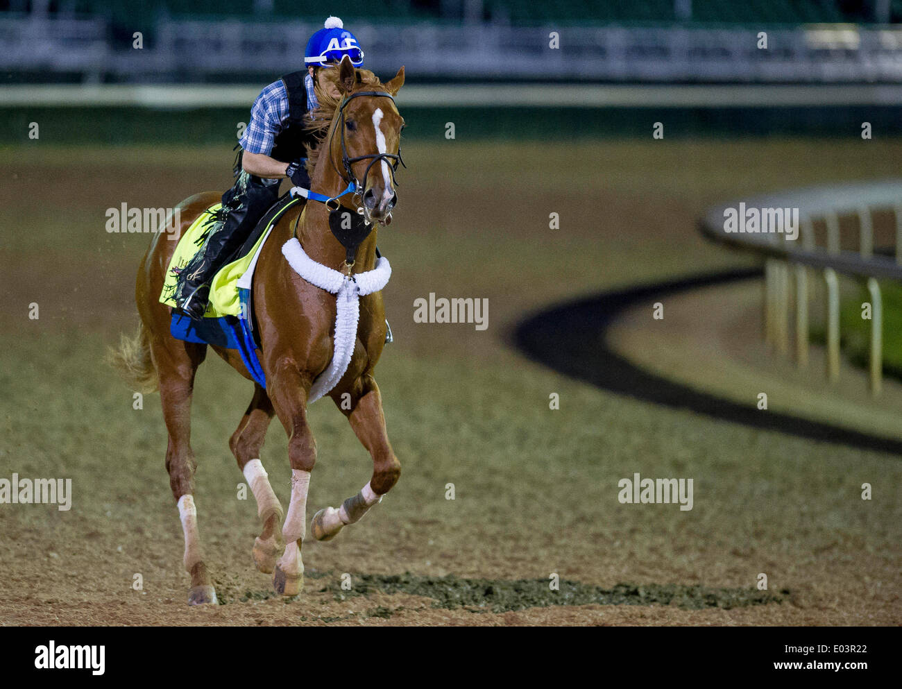 Tapiture Most Popular Photos