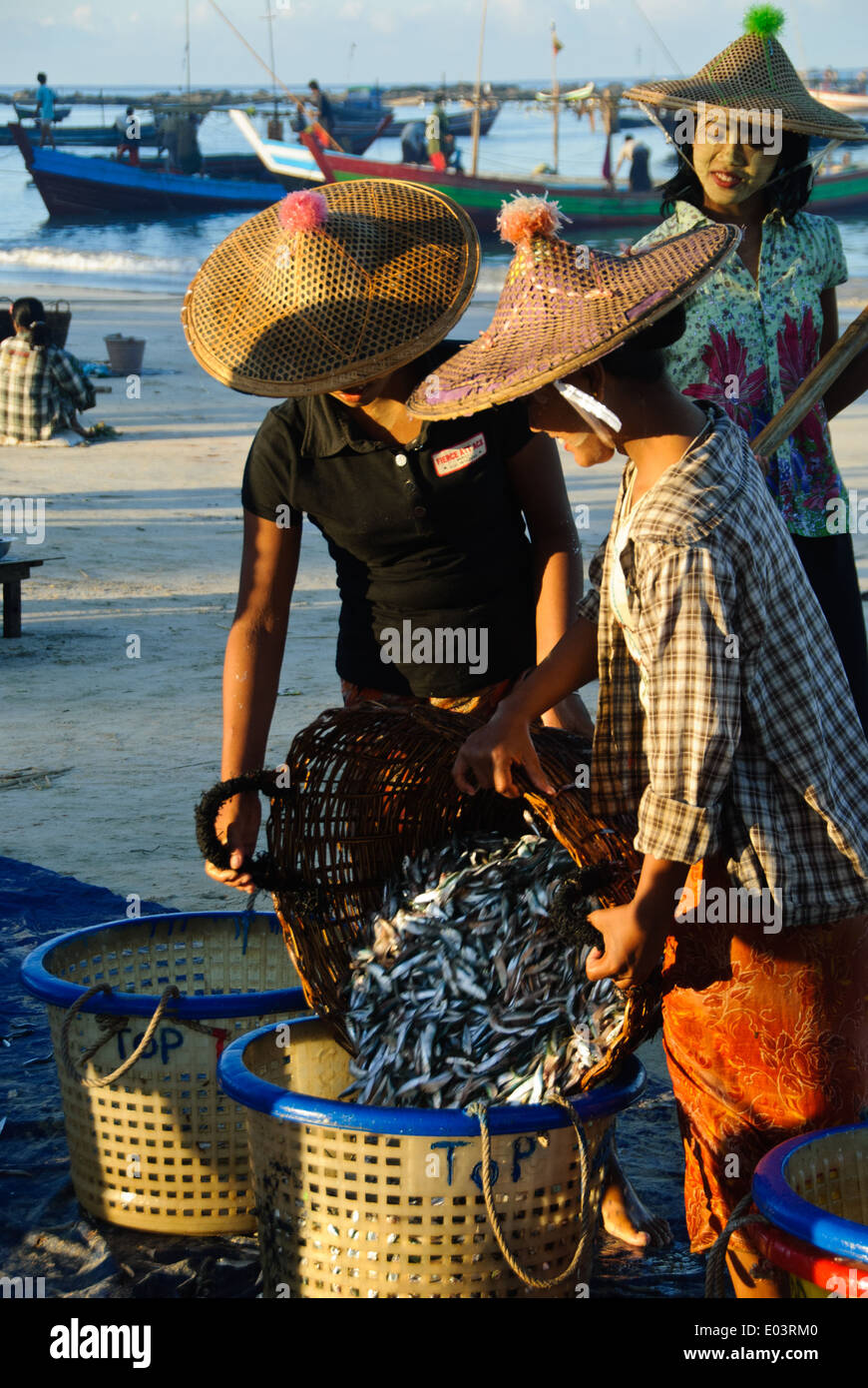 Burmese women help transferring fish from the boat to the seaside Stock ...