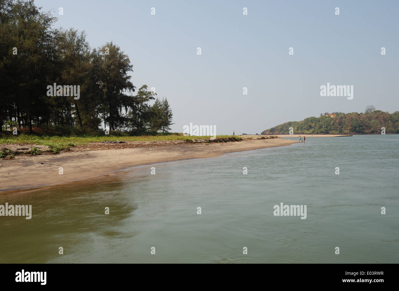 Terekhol river at Querim, Goa, India Stock Photo - Alamy