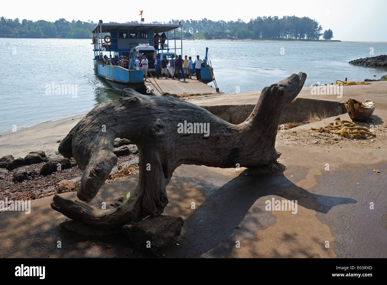 Tree trunk and boat by the Terekhol river crossing at Querim, Goa ...
