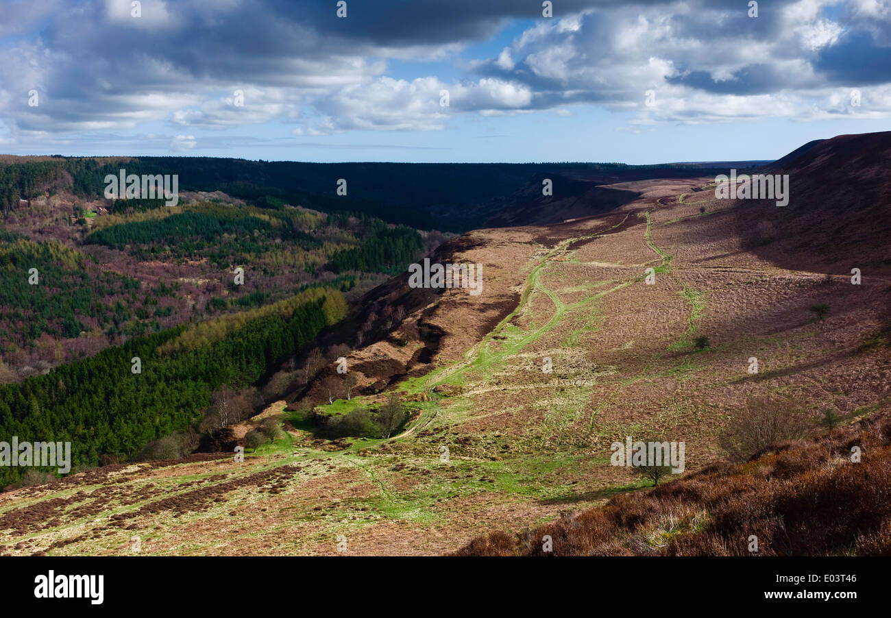 The North York Moors on a bright sunny spring morning showing the ...