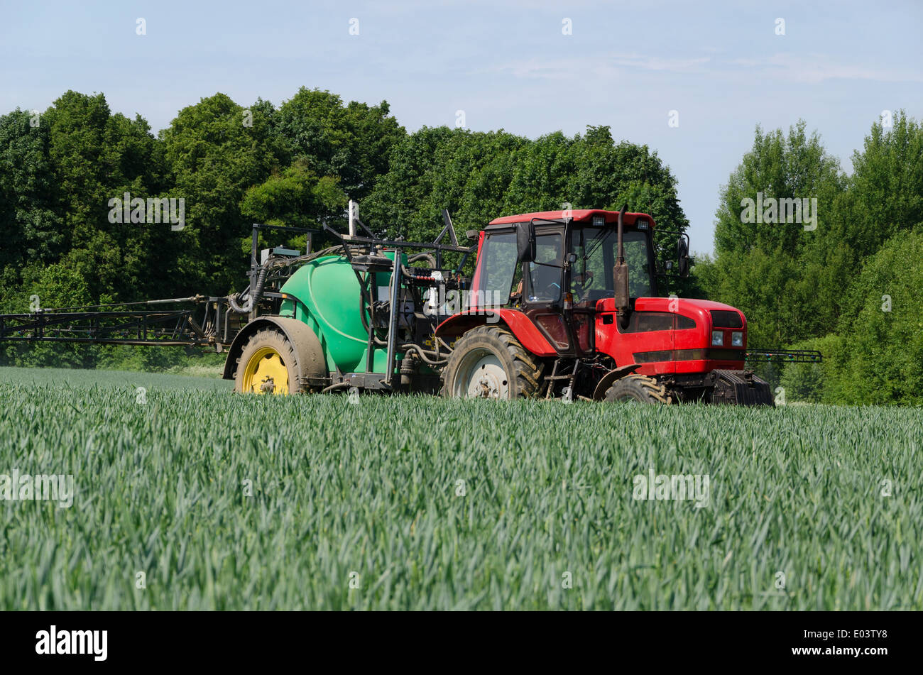 Heavy with seed hi-res stock photography and images - Alamy