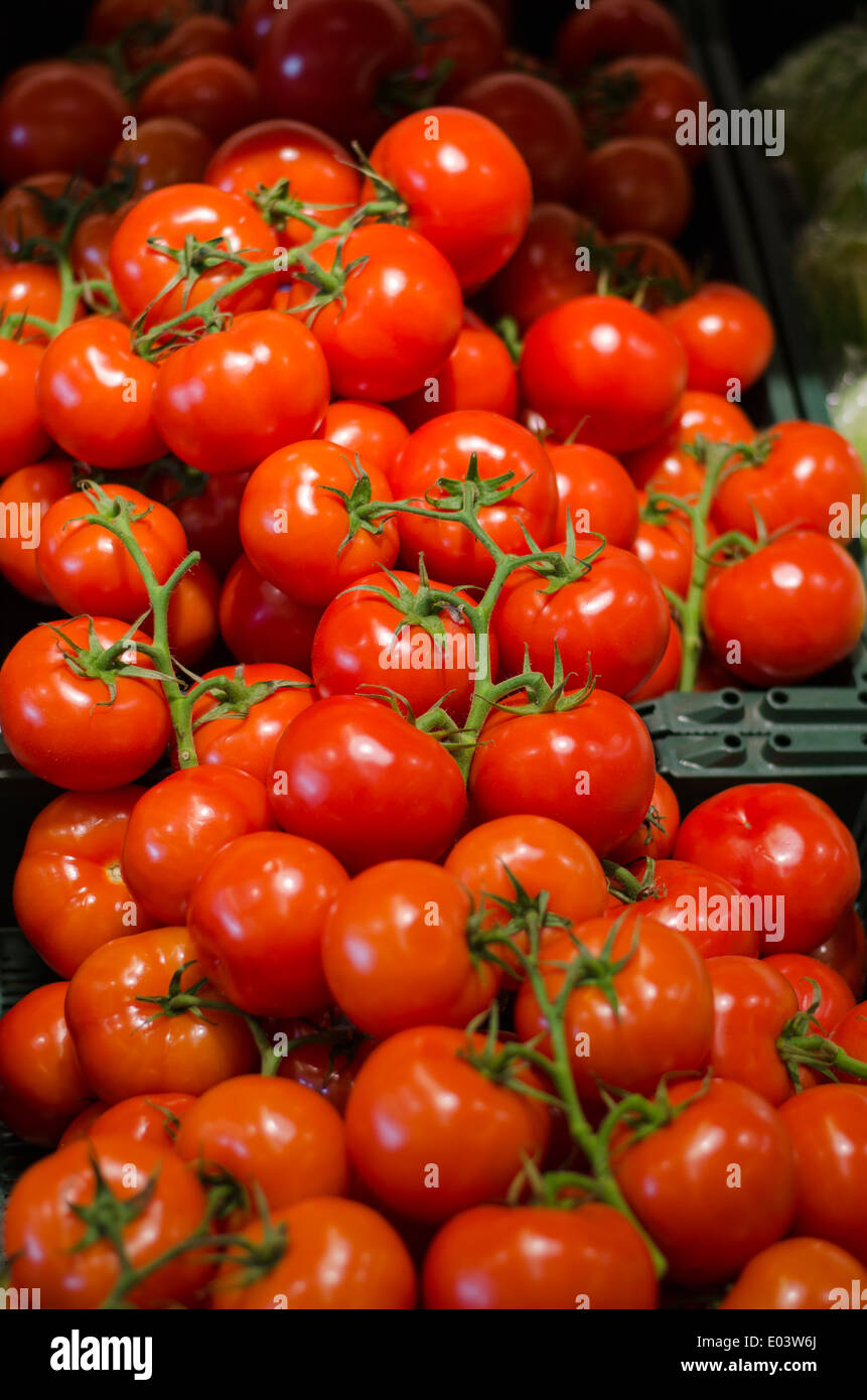 Green tomatoes on a sprig hi-res stock photography and images - Alamy
