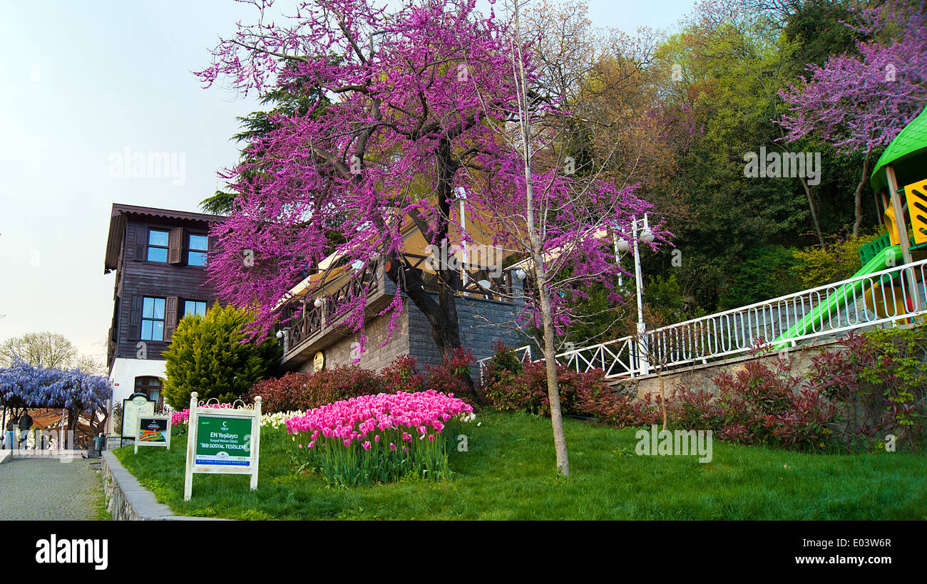Ornamental garden hi-res stock photography and images - Alamy