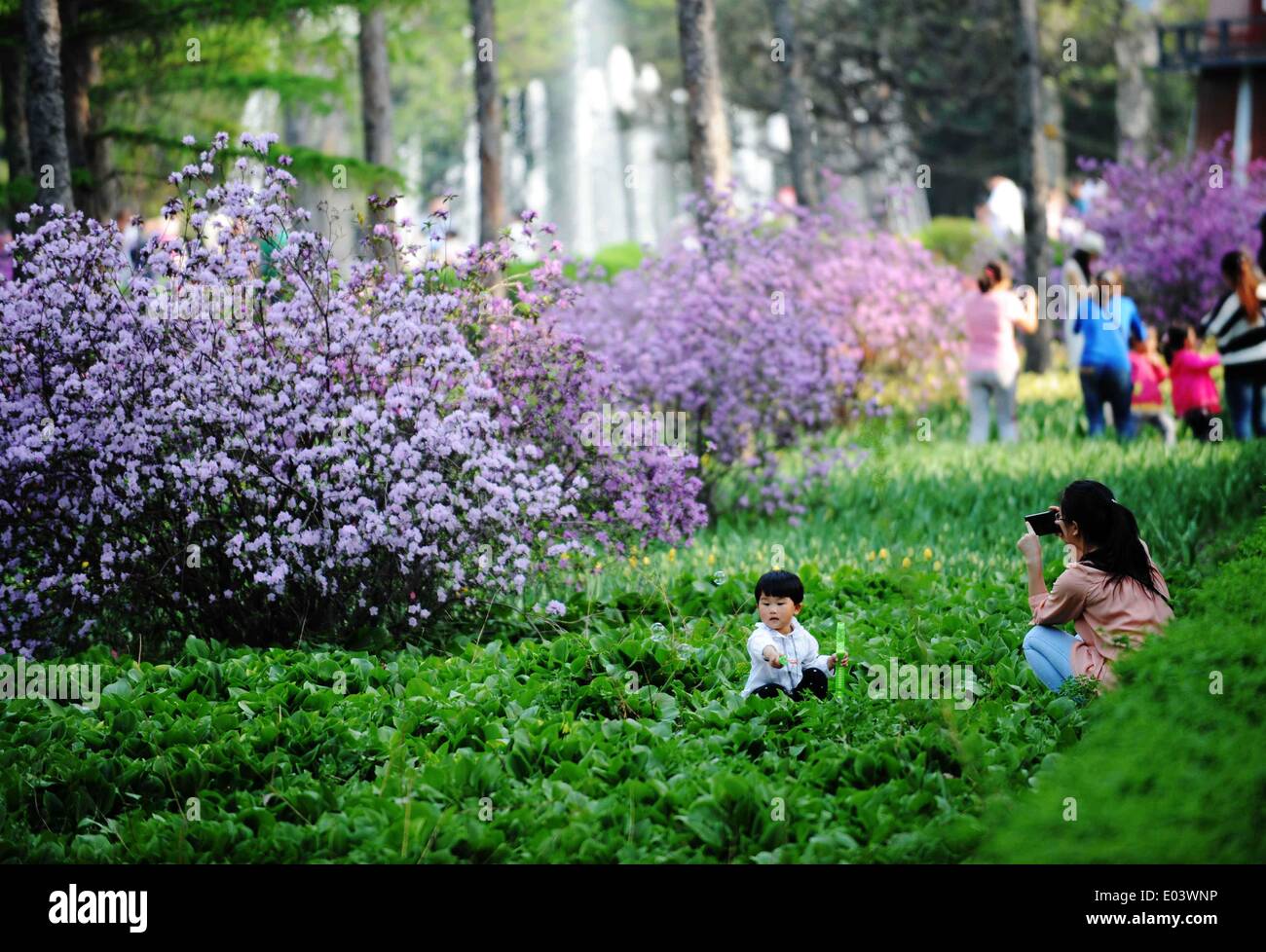 Heilongjiang forest hi-res stock photography and images - Alamy