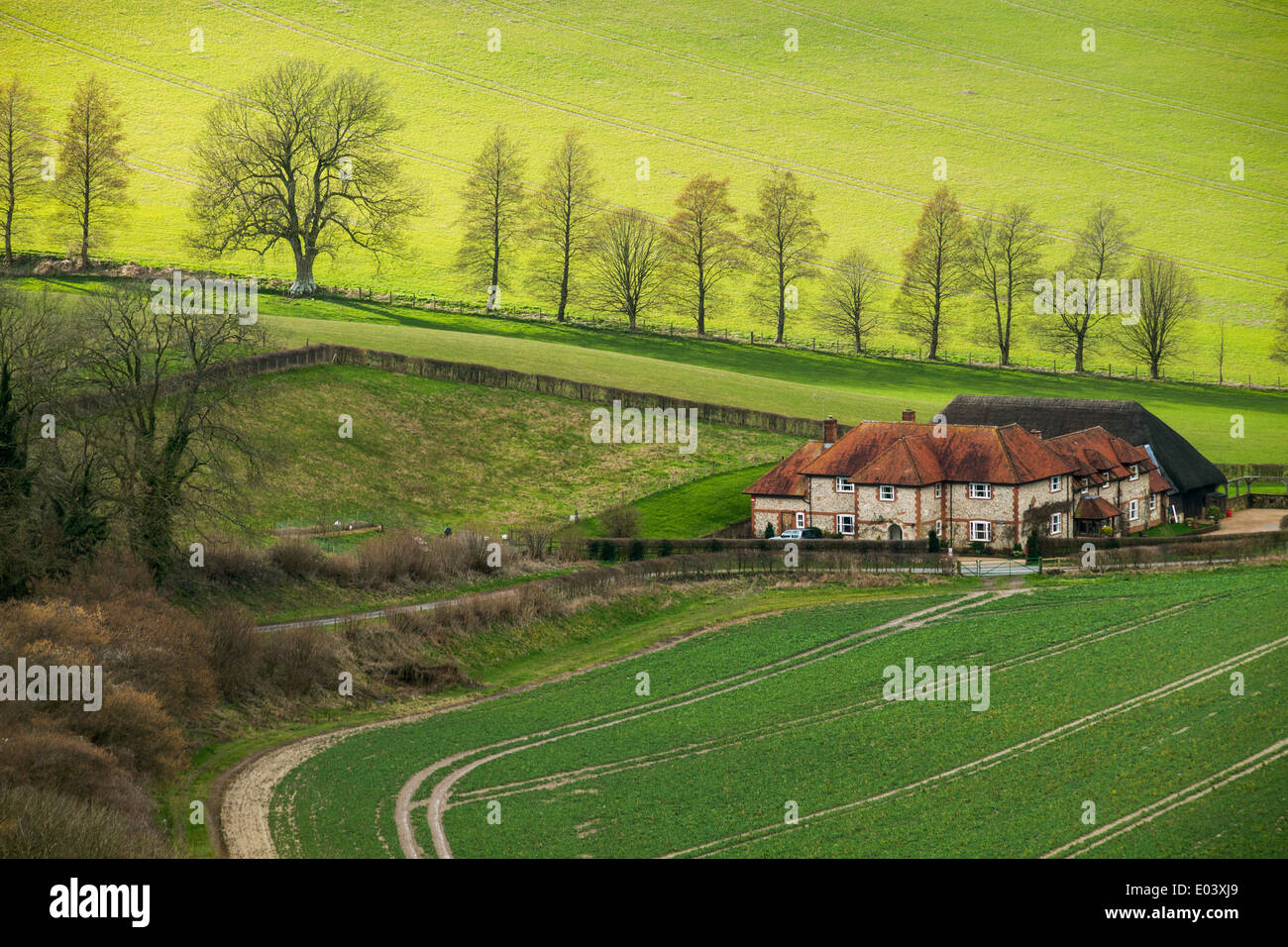 South Downs National Park near Petersfield Hampshire, England. A view ...