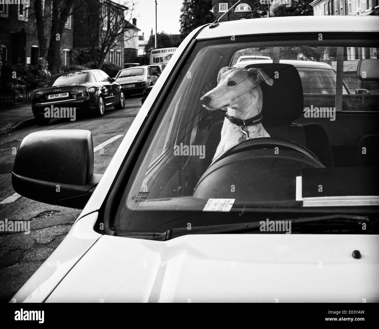 Driver behind steering wheel Black and White Stock Photos & Images - Alamy