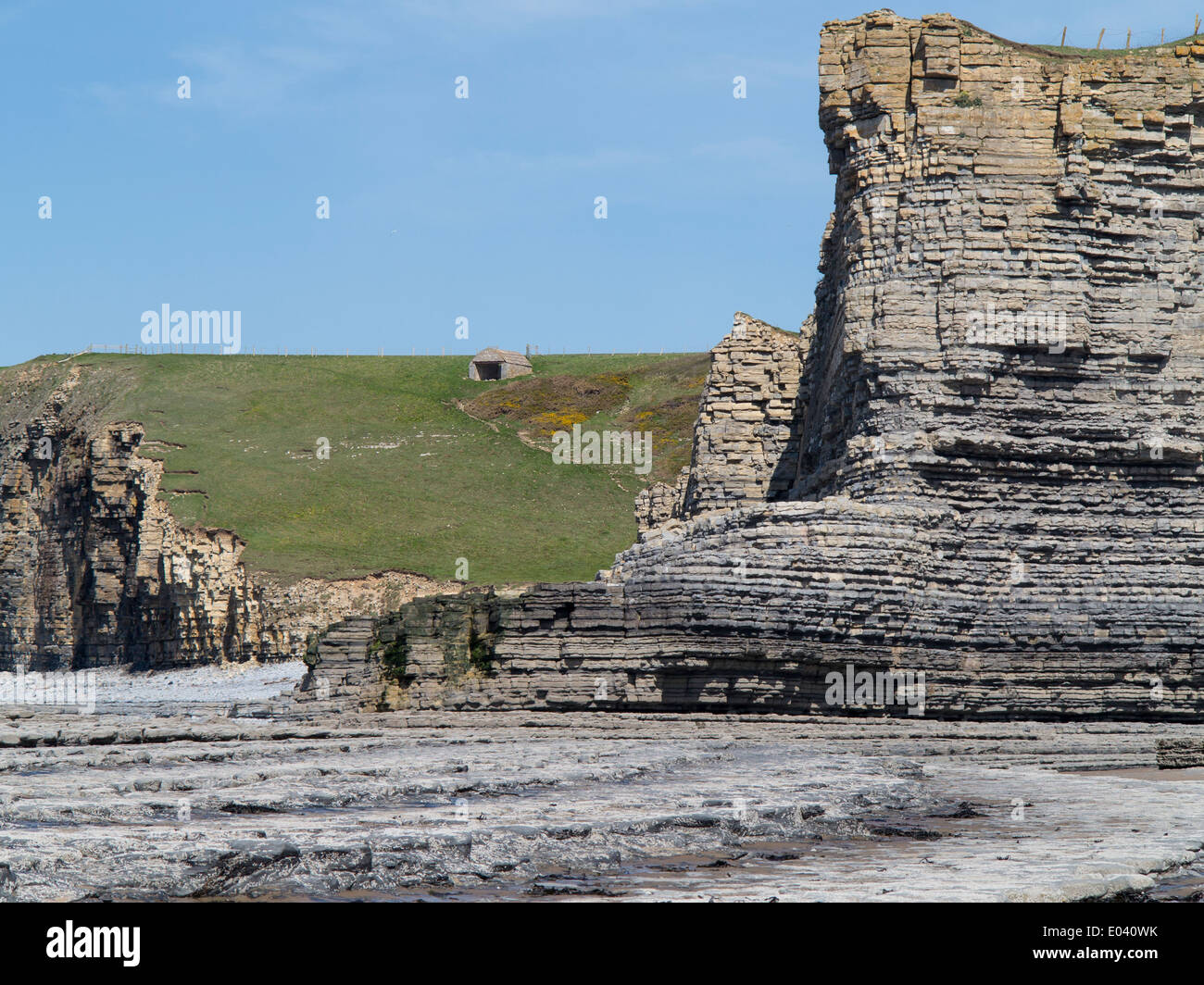 The limestone cliffs and foreshore at Monknash, a Site of Special ...