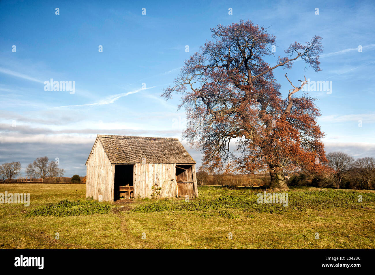 Welburn village hi-res stock photography and images - Alamy