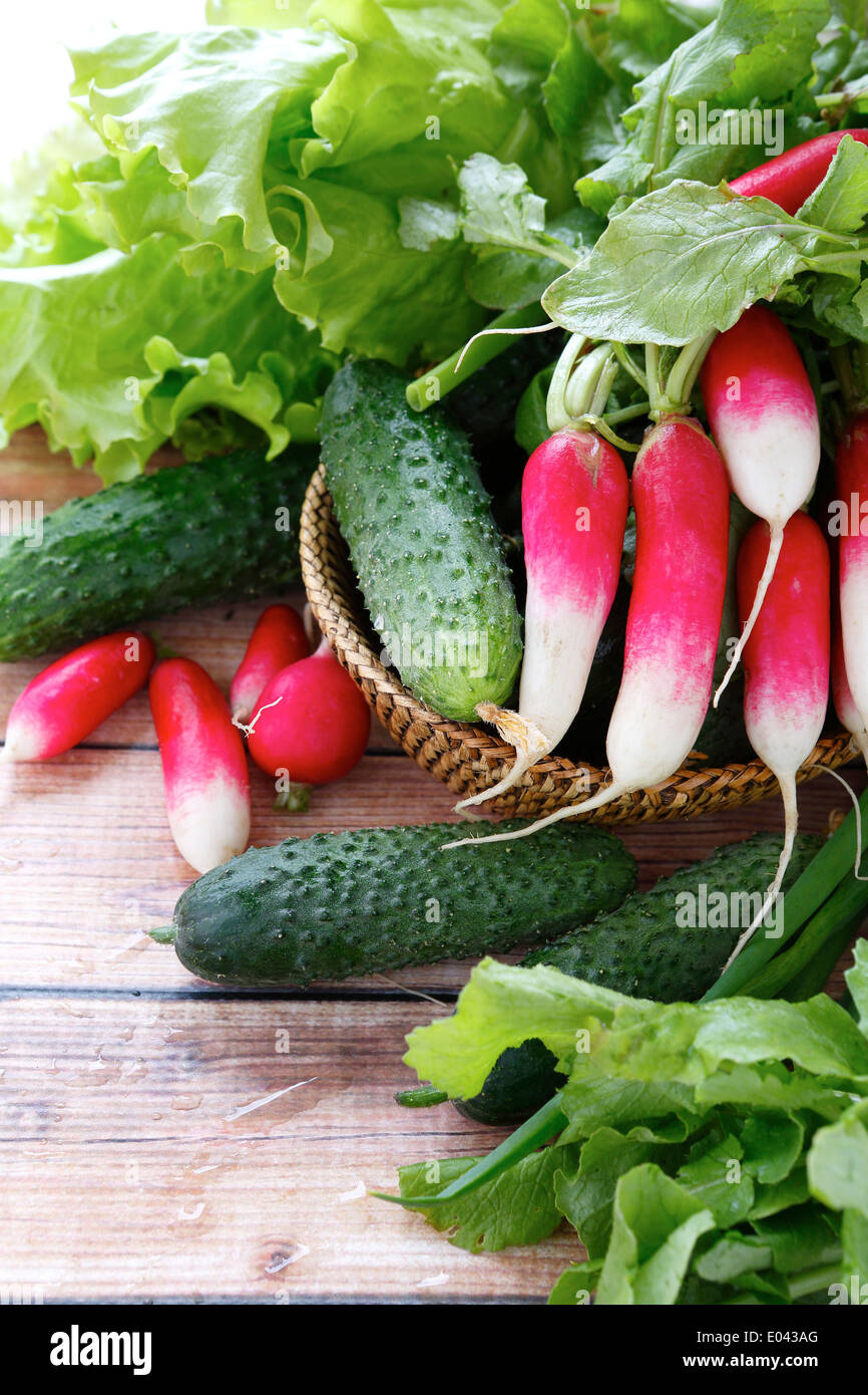 Vegetables as radish hi-res stock photography and images - Alamy