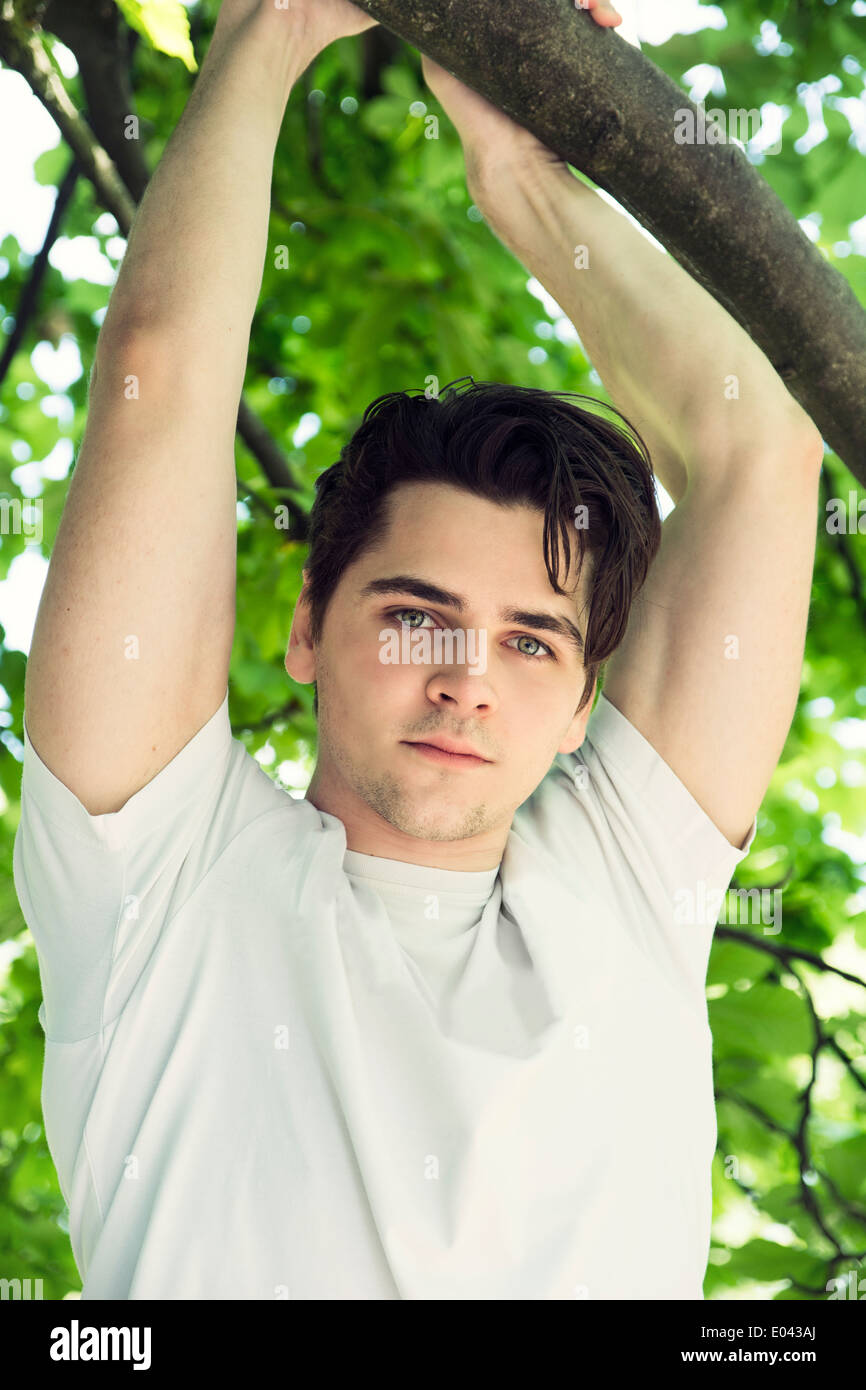 Attractive young man hanging from tree branch, looking at camera Stock ...