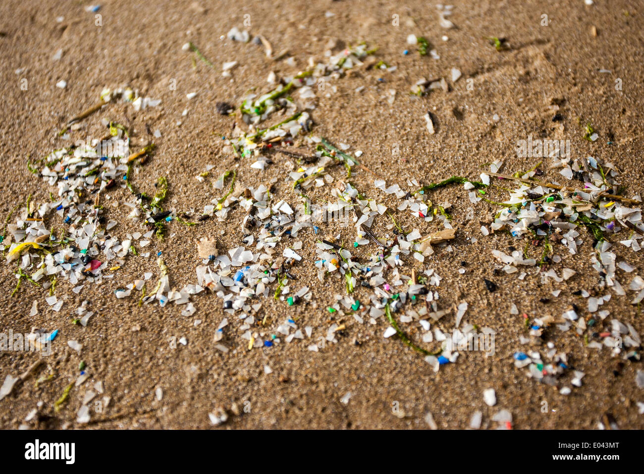 Plastic litters hi-res stock photography and images - Alamy