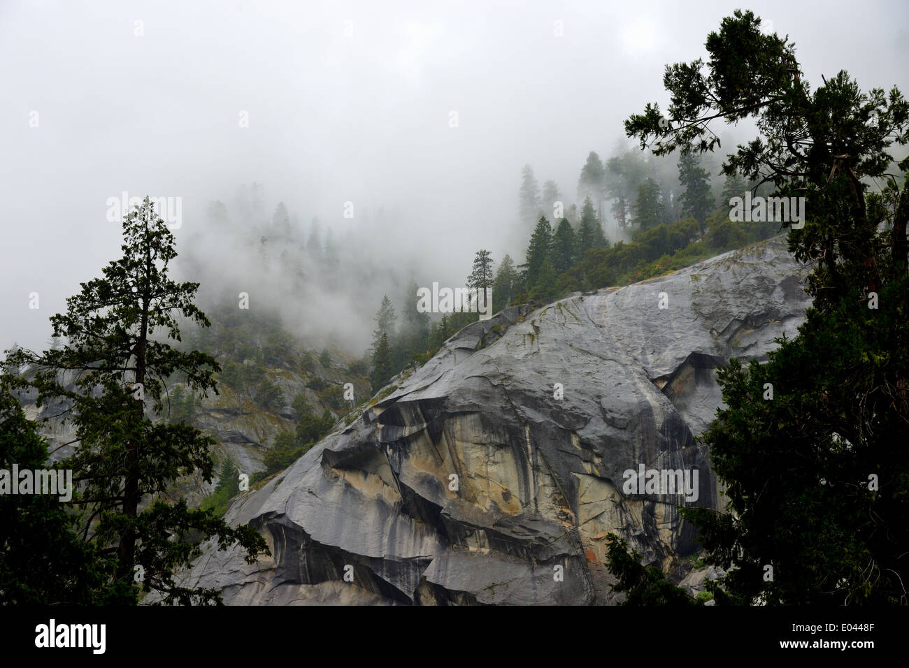 Morning Mist at Yosemite Stock Photo - Alamy