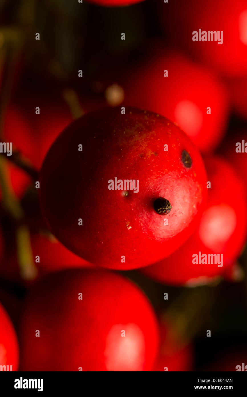 Round berry hi-res stock photography and images - Alamy