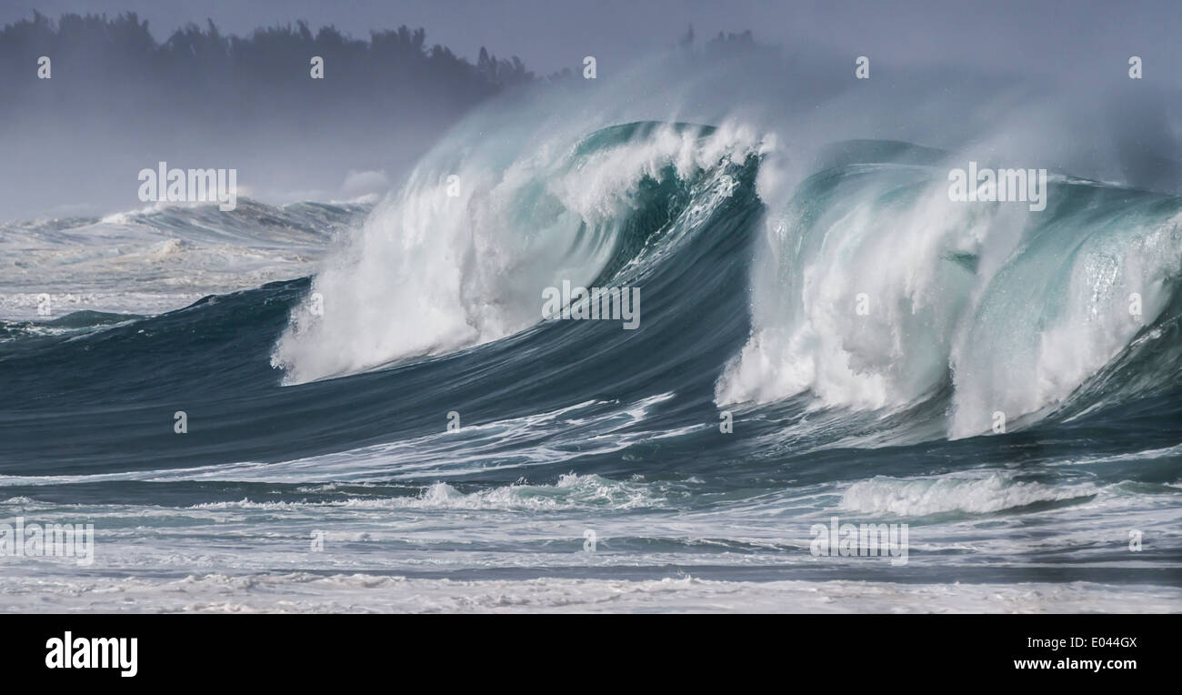 Big ocean waves on the north shore of Oahu Hawaii Stock Photo - Alamy