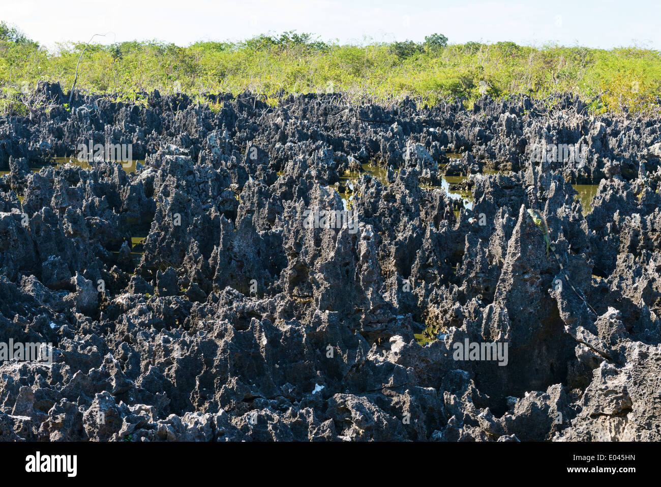 Hell grand cayman hi-res stock photography and images - Alamy