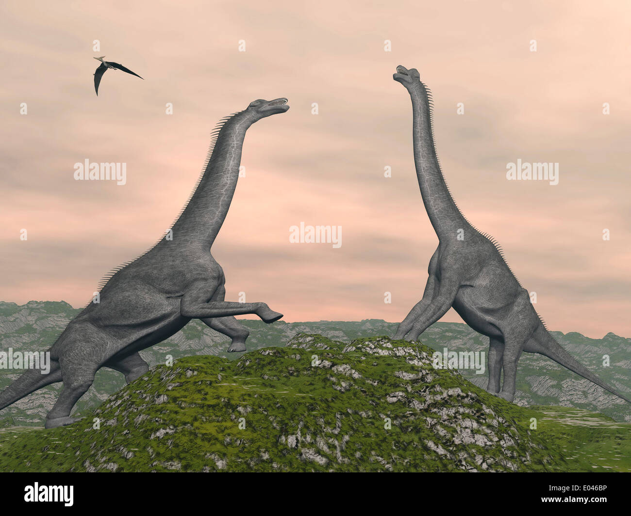 Two fighting dinosaur hi-res stock photography and images - Alamy