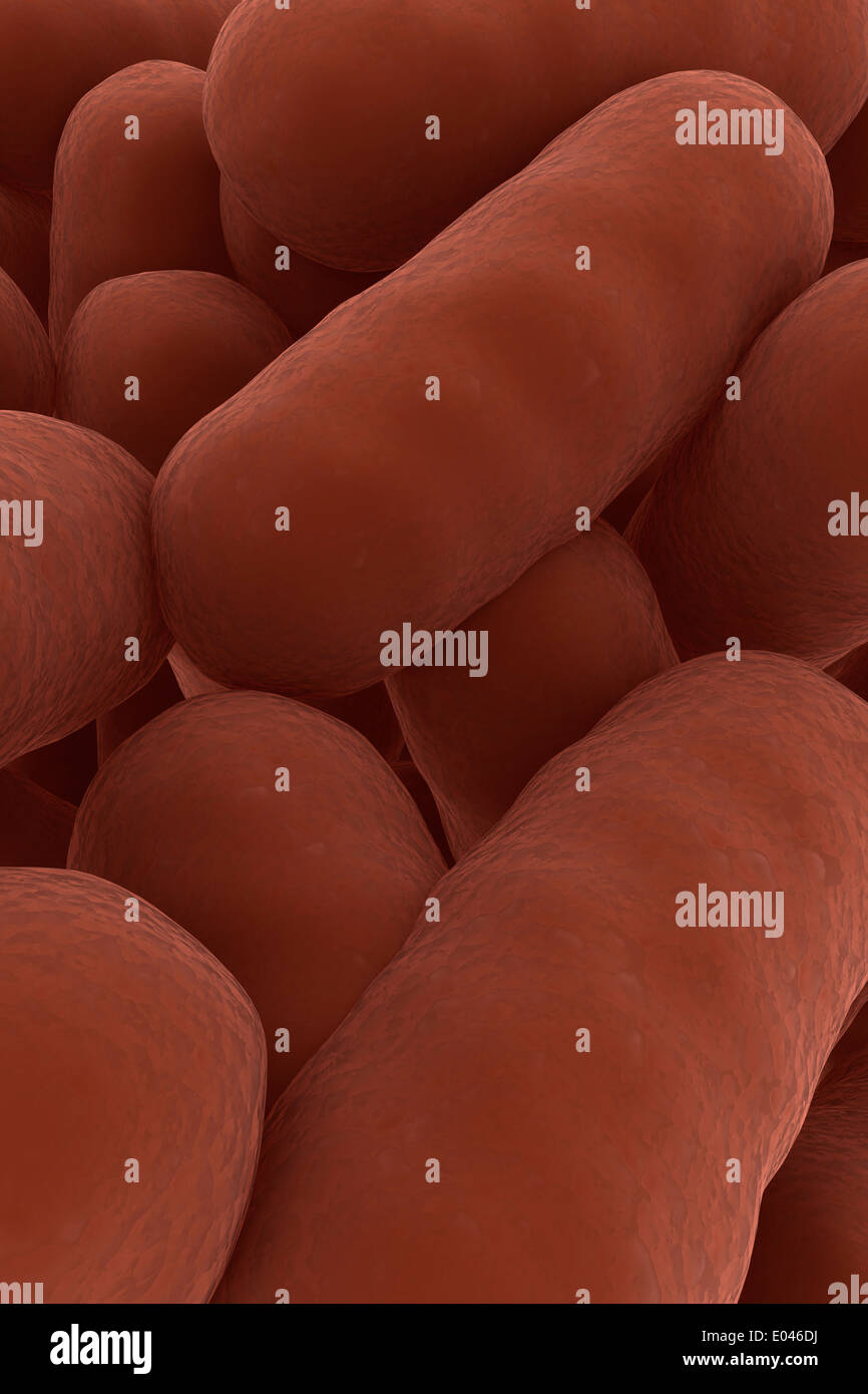 Microscopic view of bacteria Stock Photo - Alamy