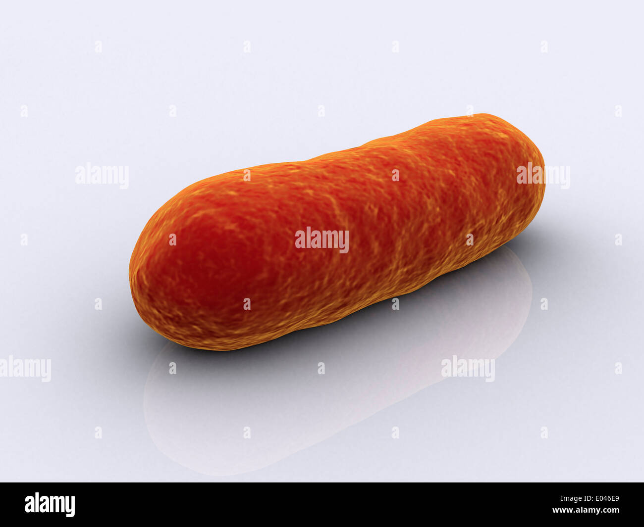 Microscopic image bacteria hi-res stock photography and images - Alamy