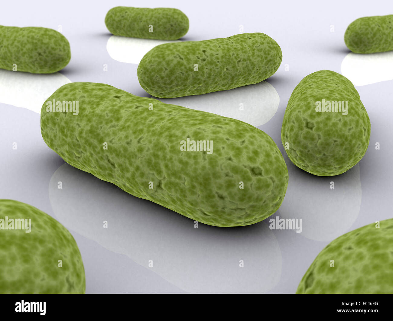 Bacteria growth hi-res stock photography and images - Alamy
