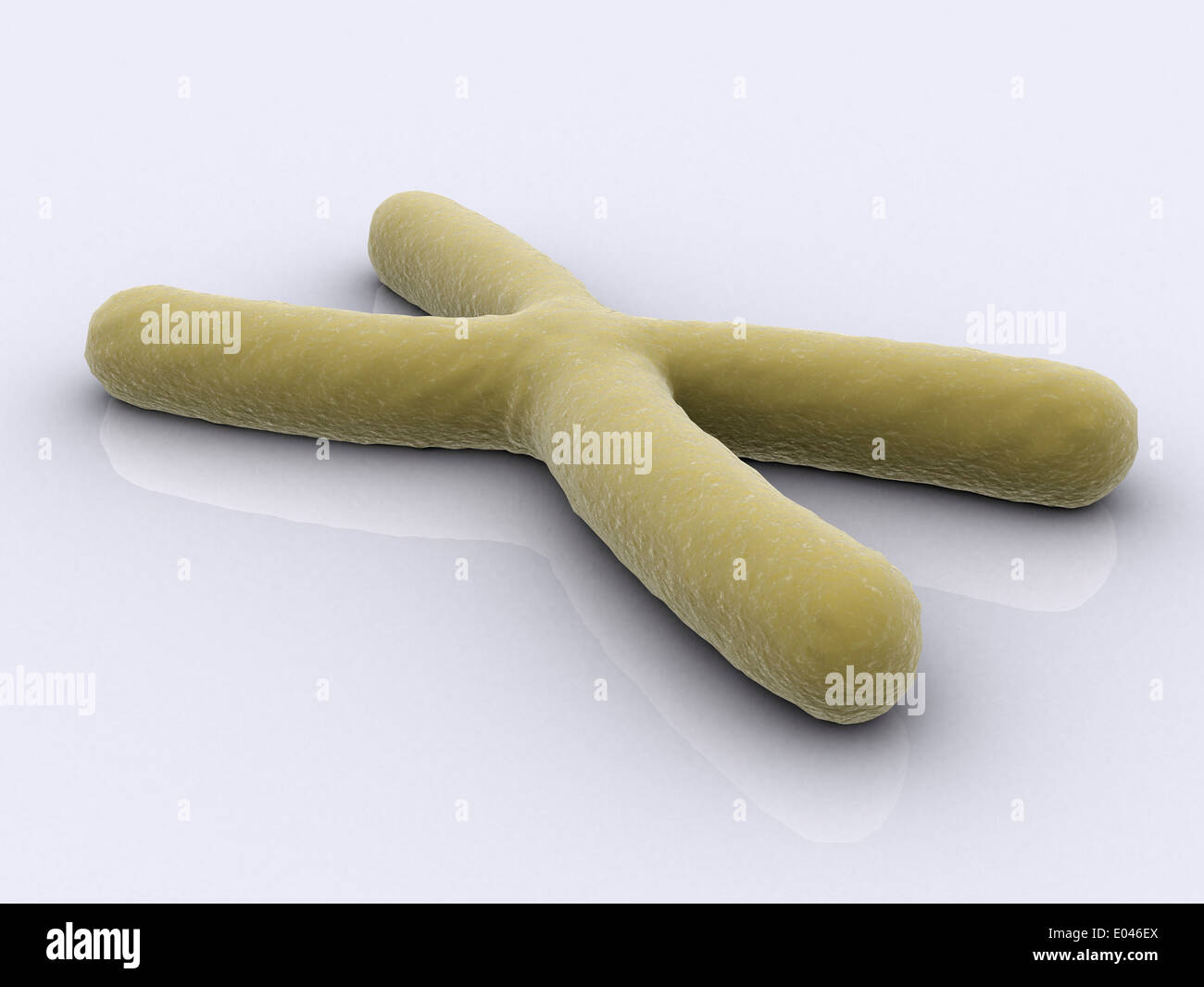 Chromosome hi-res stock photography and images - Alamy