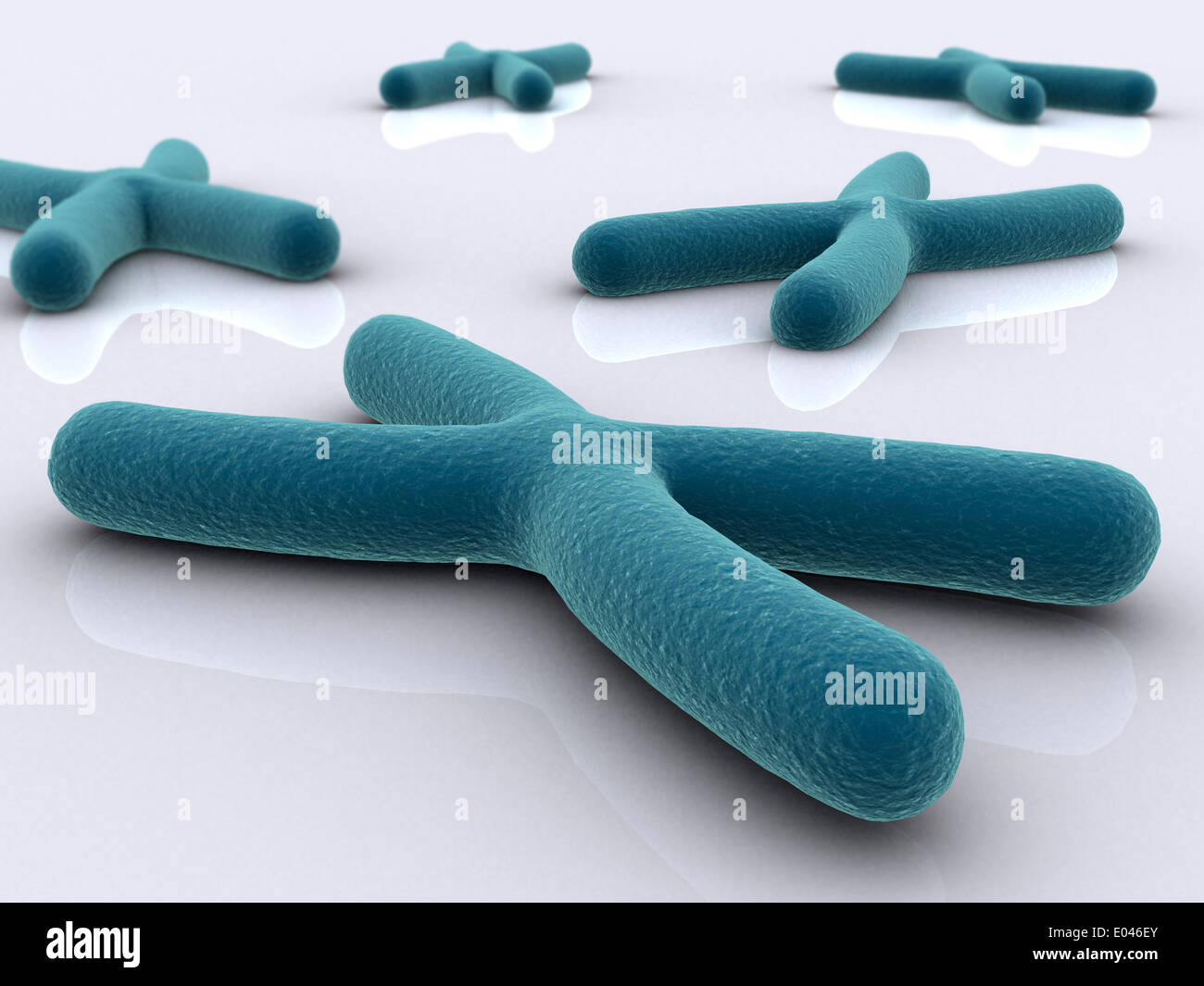 Chromosome hi-res stock photography and images - Alamy