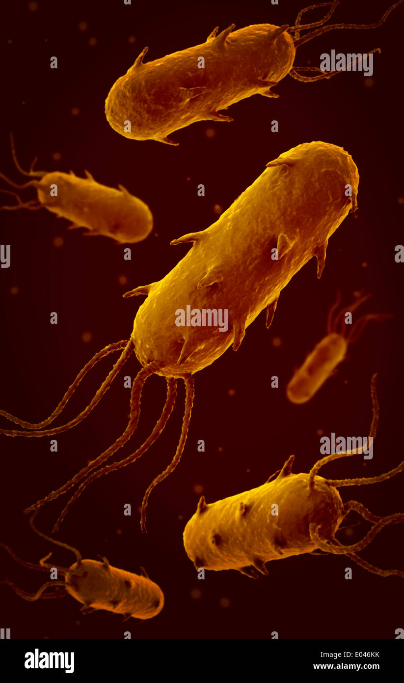 Bacteriology hi-res stock photography and images - Alamy