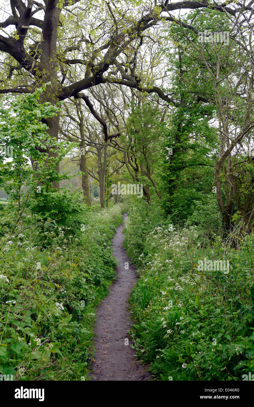 Arden trail hi-res stock photography and images - Alamy