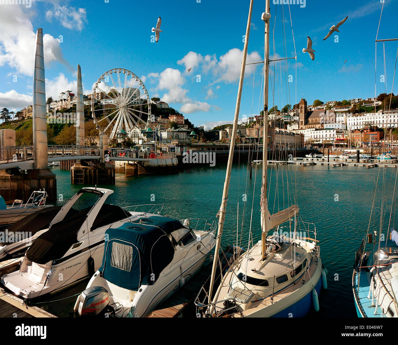 GB - DEVON: Torquay Harbour and Town Stock Photo - Alamy