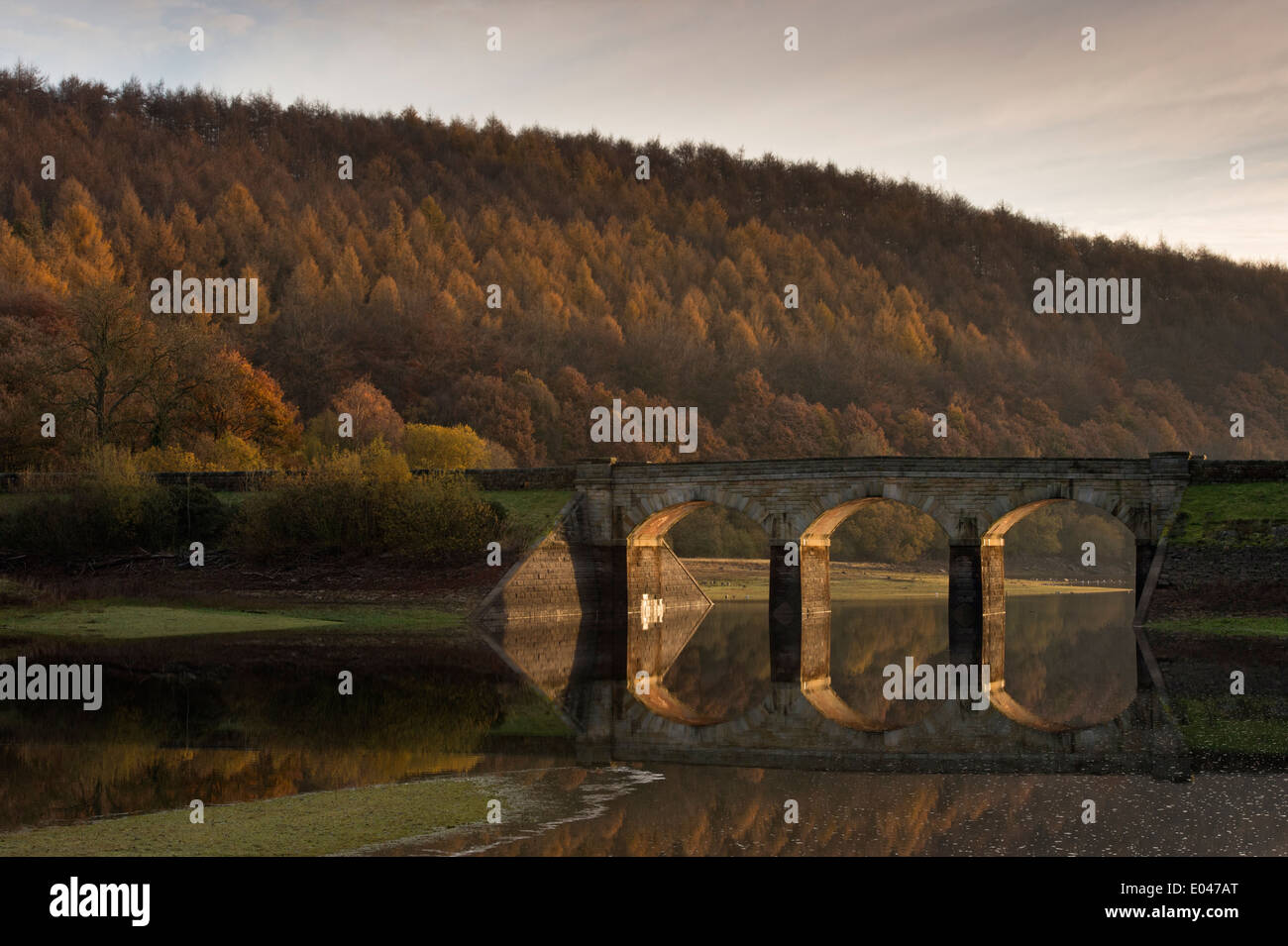 Scenic view of sunlit arches of road bridge & woodland, reflected in ...