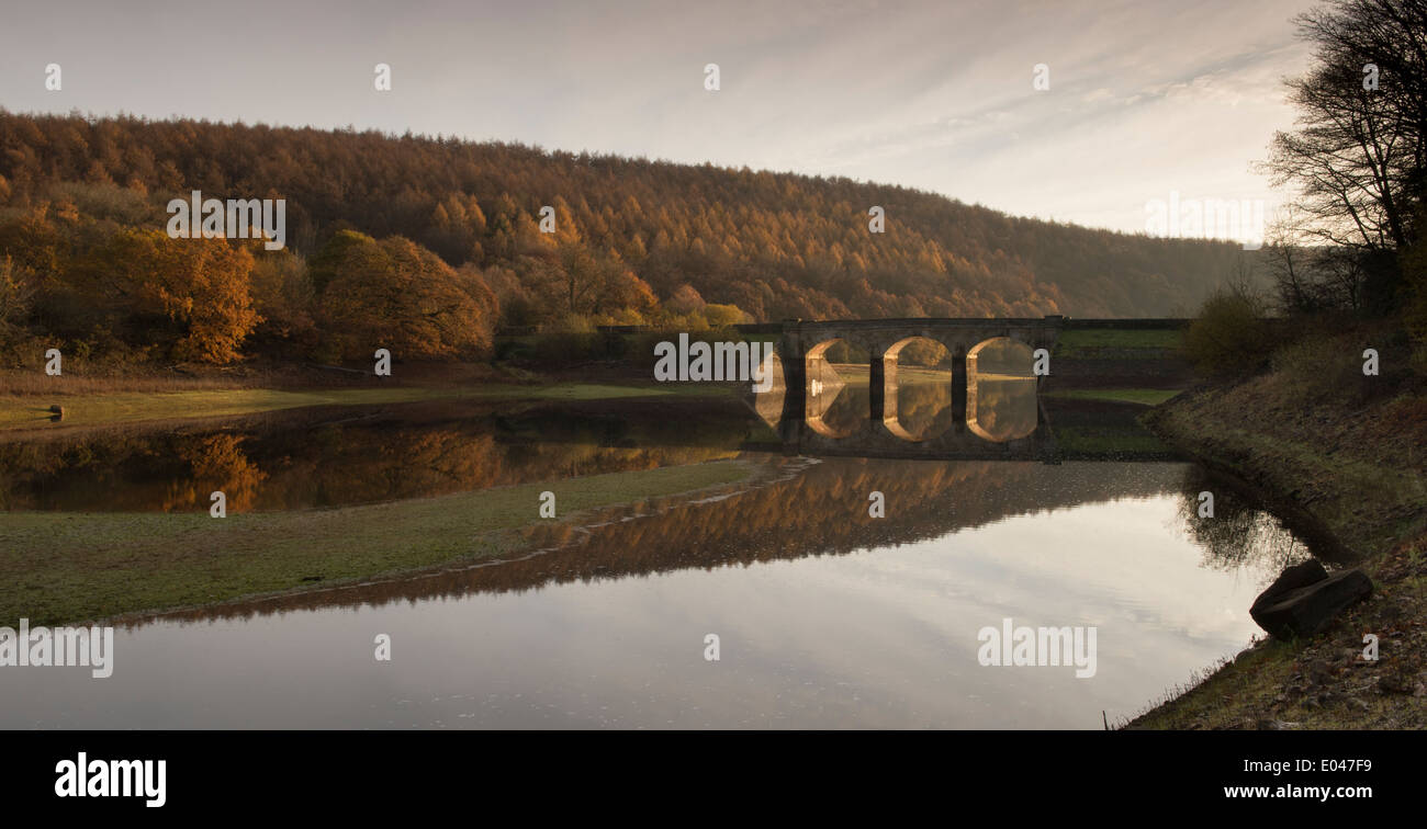 Scenic view of sunlit arches of road bridge & woodland, reflected in ...