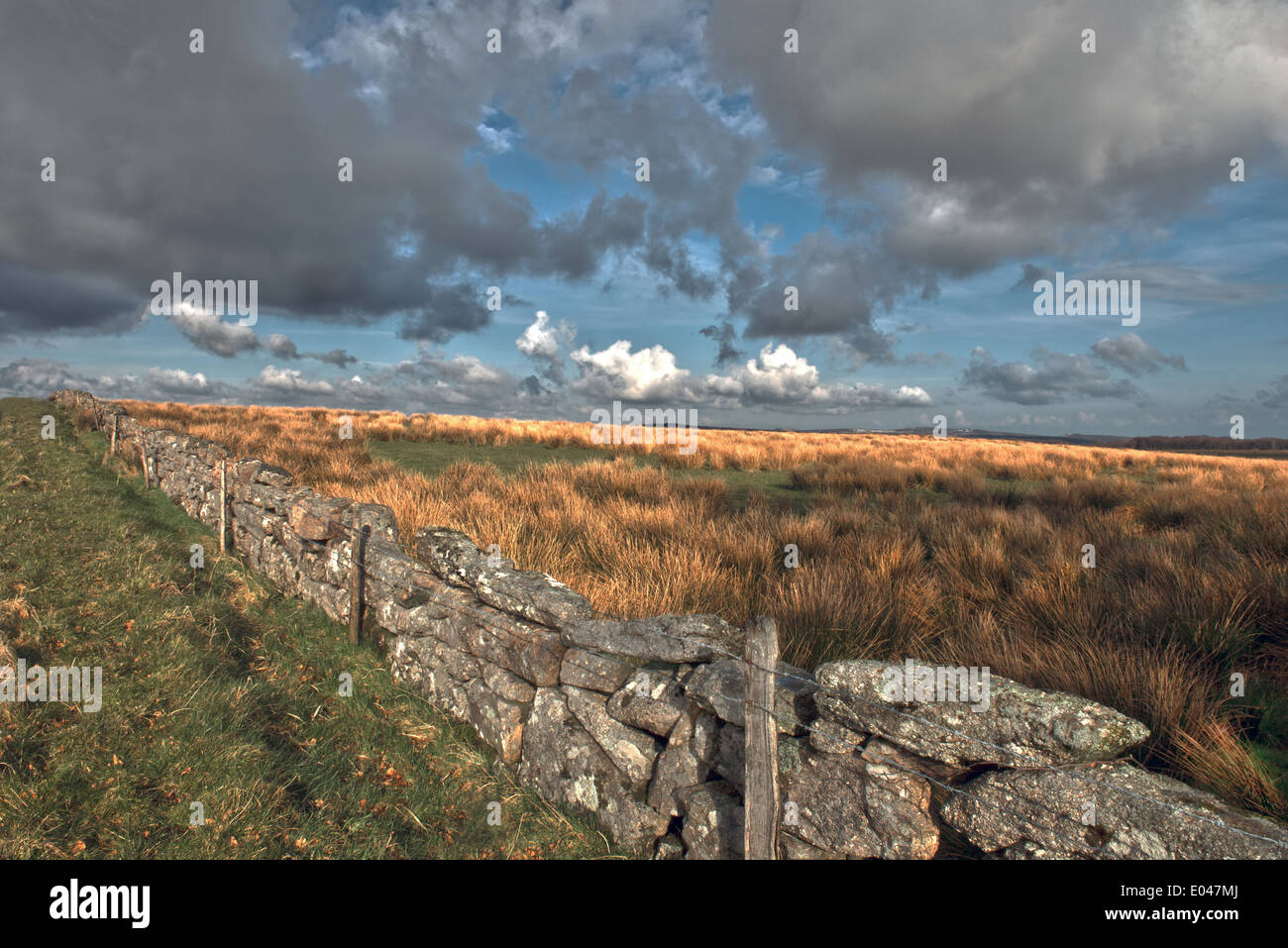 Old Dry Stone Wall On Dartmoors National Park, Devon, England, Uk Stock ...
