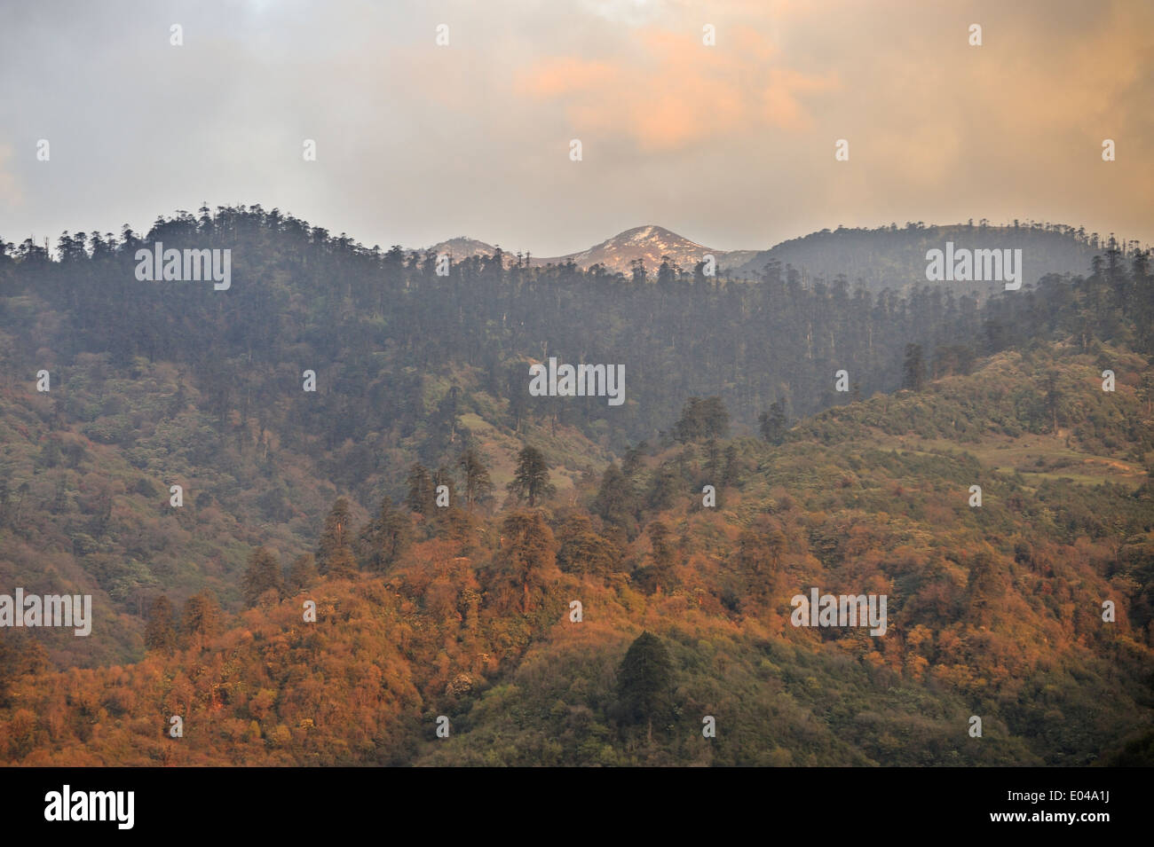 Sunset, Merak and Sakteng trek, Eastern Bhutan Stock Photo - Alamy