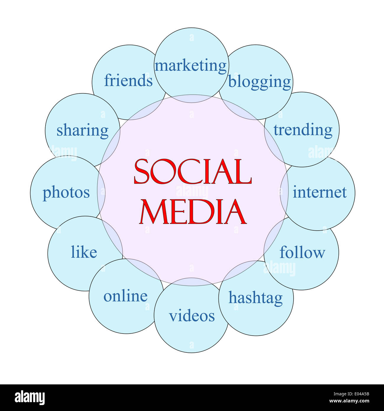 Social Media Concept Circular Diagram In Pink And Blue With Great Terms