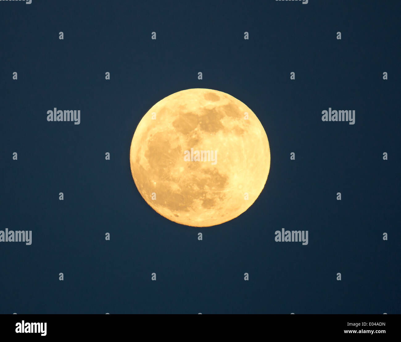 Full moon during evening Stock Photo - Alamy