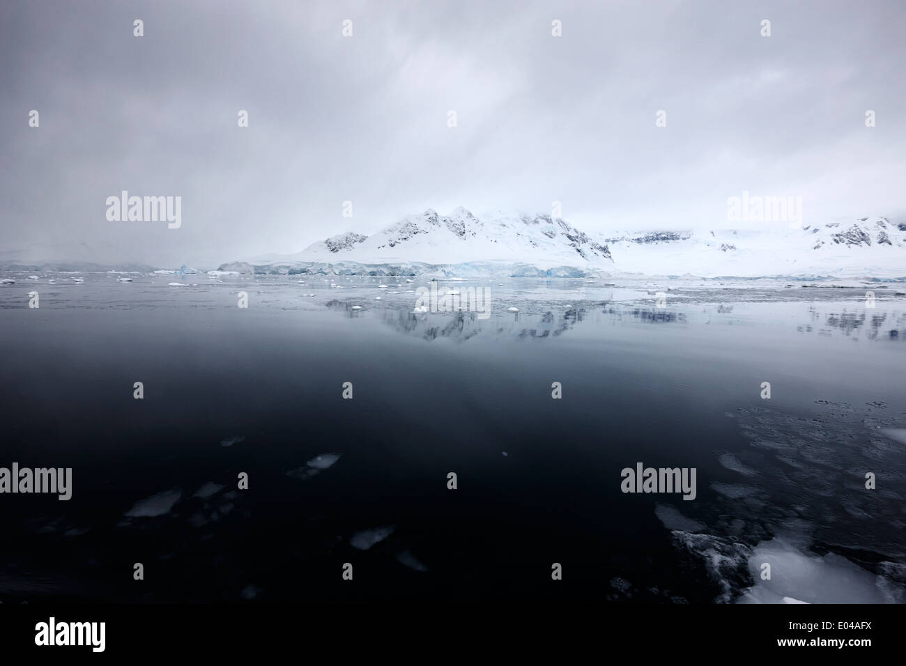 snow covered landscape in Fournier Bay on Anvers Island Antarctica ...