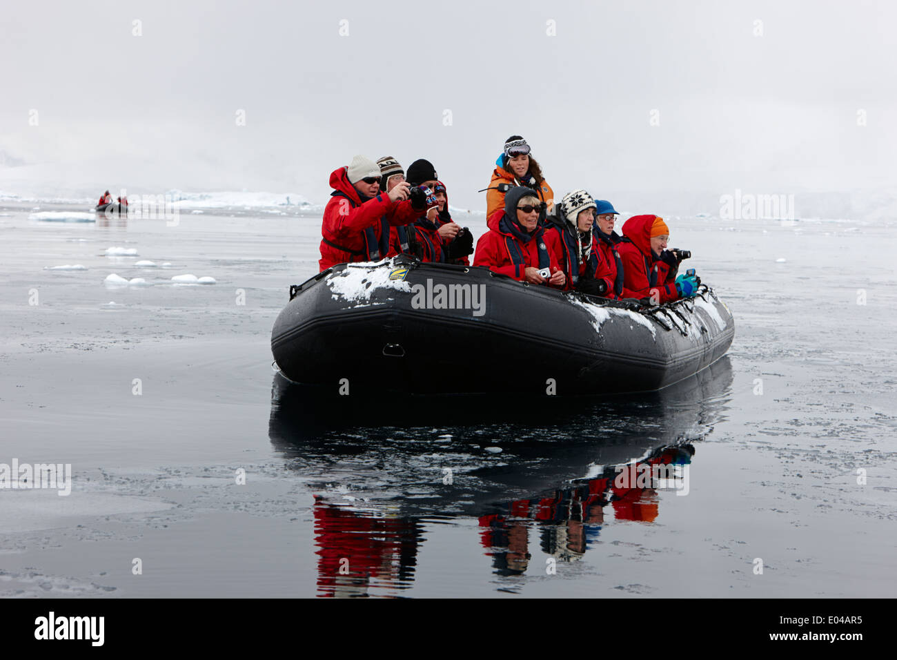 passengers on board zodiacs get ready to take photos on excursion in ...