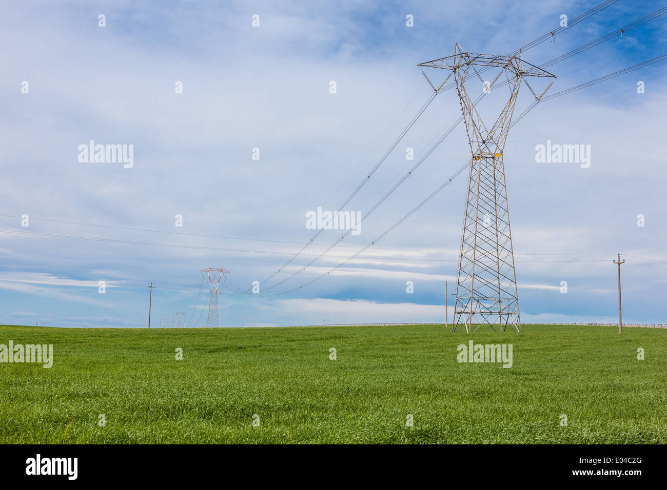 An electricity pylon in a green and vibrant field Stock Photo - Alamy