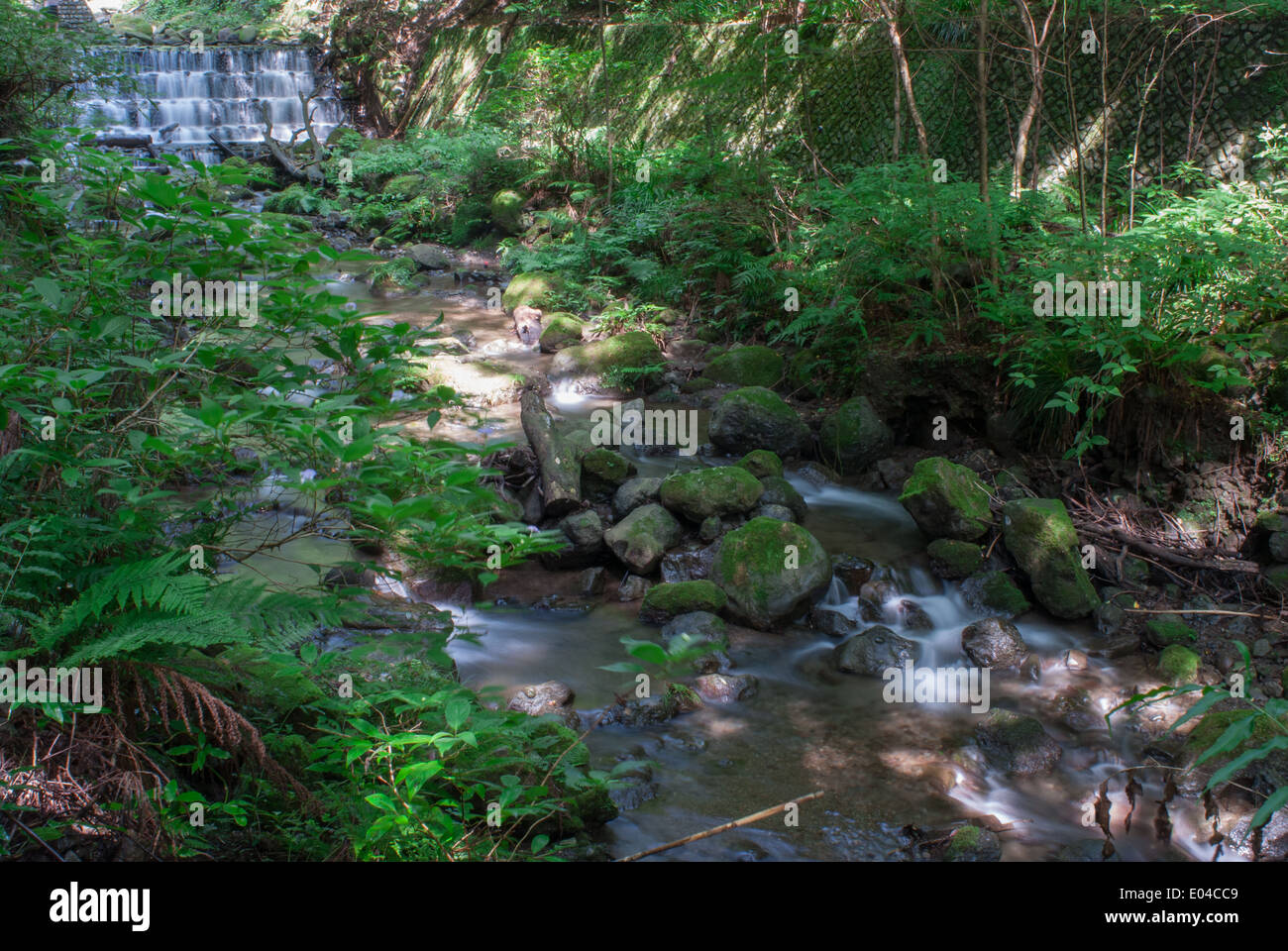 Water Stream Near Odawara, Kanagawa Prefecture, Japan Stock Photo - Alamy